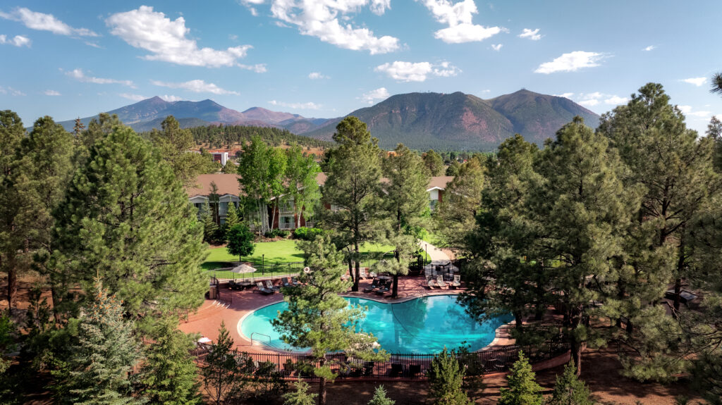 AZ Big News- Discover new heights under the pines with a visit to ...